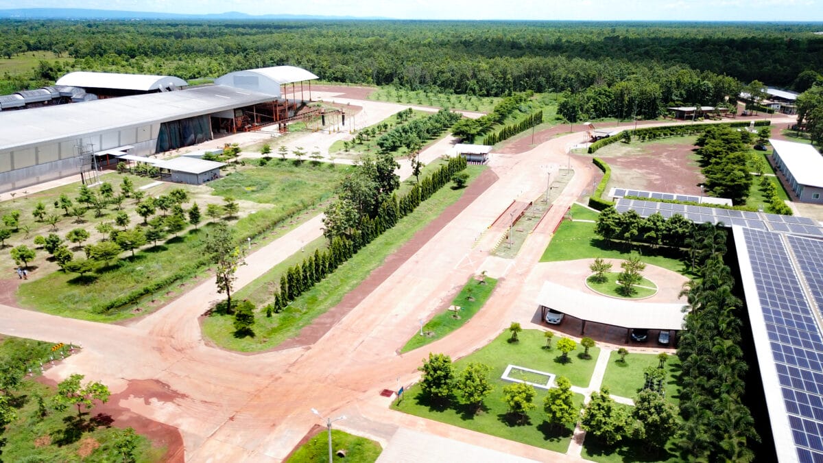 ธุรกิจแป้งมันสำปะหลัง – บริษัท พรีเมียร์ควอลิตี้สตาร์ช จำกัด (มหาชน)